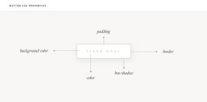 How to add custom buttons in Dubsado with CSS code | Search & Grow Dubsado Forms
